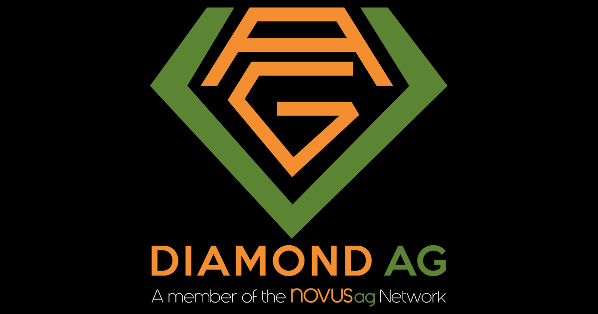 Diamond AG - Rooted in Quality